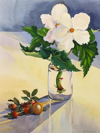 White Begonia and Rosehips Giclee Print - Christopher Ryland | Art.com