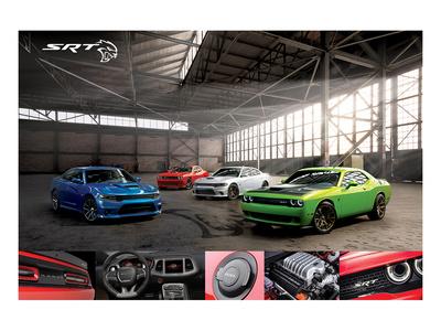Dodge Charger/Challenger Evolution, Poster 24 X 36 Inch By Eurographics ...