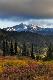 'Autumn hues with the Tatoosh Range in Mount Rainier National Park ...