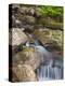 Jordan Stream in Acadia National Park, Maine, Usa Premium Photographic ...