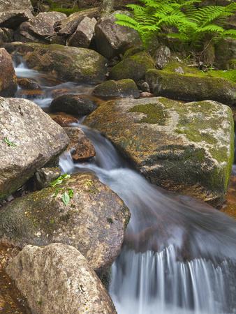 'Jordan Stream in Acadia National Park, Maine, Usa' Photographic Print ...