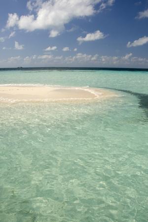 'Sandbar Surrounded by Crystal Water, Goff Caye, Caribbean Sea, Belize ...