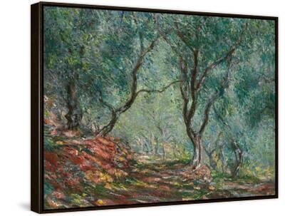 Olive Trees in the Moreno Garden, 1884 Framed Stretched Canvas Print ...