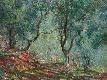 'Olive Trees in the Moreno Garden, 1884' Giclee Print - Claude Monet ...