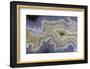 'Close-Up Royal Aztec Lace Agate' Photographic Print - Darrell Gulin ...