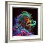 'Clouded Monkey 1' Art Print - , Wumples | Art.com