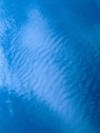 'Clouds: Dense Undulating Cirro-Stratus Clouds' Giclee Print | Art.com