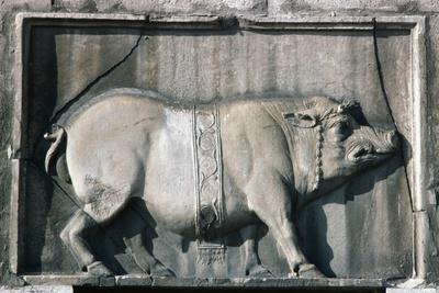 Coat of Arms Depicting the Caledonian Boar, Symbol of the City Giclee ...