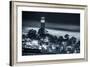 'Coit Tower, Early Evening' Photographic Print - Vincent James | Art.com