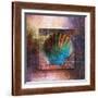 'Colorful Clam Shell and Geometry' Photographic Print - Colin Anderson ...