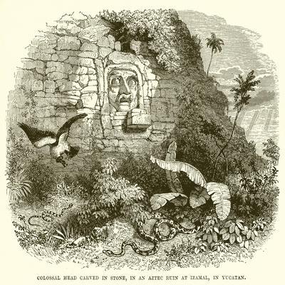 'Colossal Head Carved in Stone, in an Aztec Ruin at Izamal, in Yucatan ...