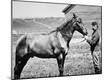 'Comanche, Captain Keogh's Mount, the Only Survivor of Custer's Last ...