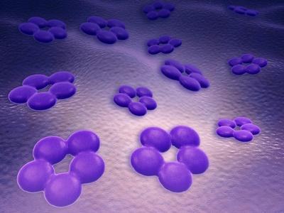 'Conceptual Image of Cell Surface Receptors' Art Print | Art.com