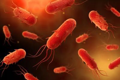'Conceptual Image of Flagellate Bacterium' Art Print | Art.com