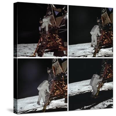 Eagle Exploration Stretched Canvas Print - Contemporary Photography ...