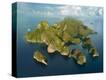 'Coral reefs surround the rugged limestone islands that rise from Raja ...