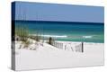 'White Sand Beach' Photographic Print - Corey Chestnut | Art.com