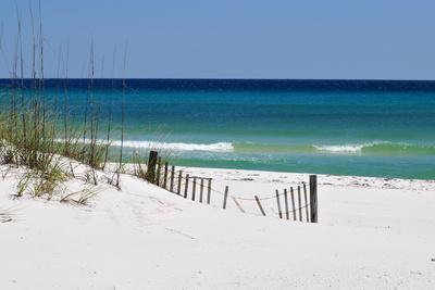 'White Sand Beach' Photographic Print - Corey Chestnut | Art.com
