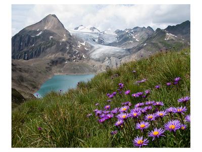Corno Gries Switzerland Art Print | Art.com