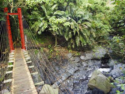 'County Maolin Rope Bridge, Taiwan' Photographic Print - Christian ...