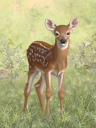 Fawn Painting