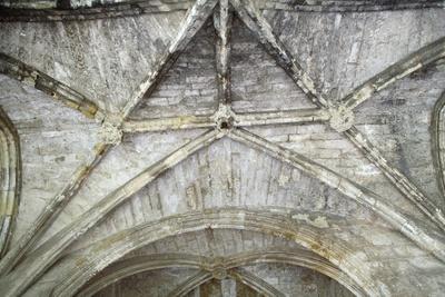 'Cross Vaults, Detail from Cloisters of Narbonne Cathedral, Narbonne ...
