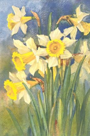 Famous Daffodil Paintings