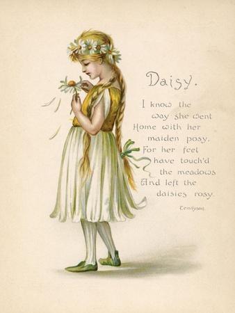 'Daisy, 'Language of Flowers'' Art Print | Art.com