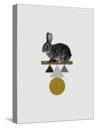 'Balancing Act - Rabbit' Stretched Canvas Print - Dana Shek | Art.com