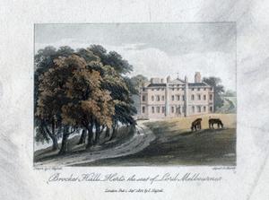 Cattle Art for Sale: Prints, Paintings, Posters & Framed Wall Artwork ...