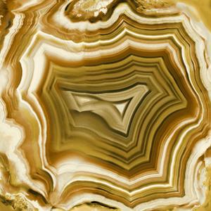 Danielle Carson Art: Prints, Paintings, Posters & Wall Art | Art.com