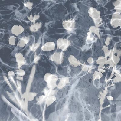 'Nature in Grey II' Art Print - Danielle Carson | Art.com