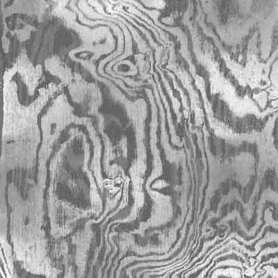 'Silver Variations I' Art Print - Danielle Carson | Art.com