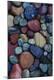 Colorful Rocks Photographic Print - Darrell Gulin | Art.com