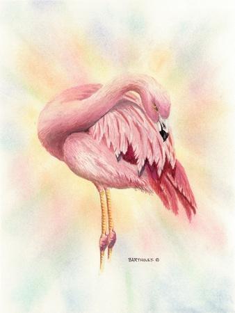 'Flamingo' Art Print - Dave Bartholet | Art.com