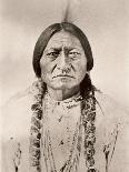 'Red Cloud, Dakota Chief, Wearing a Headdress, 1880s' Photographic ...