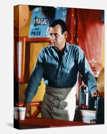 The Fugitive David Janssen