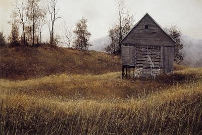 'Golden Meadow' Giclee Print - David Knowlton | Art.com