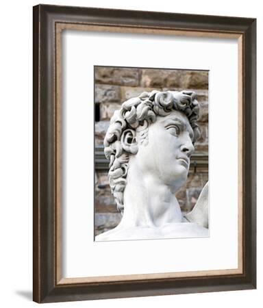 David of Michelangelo, Piazza Della Signoria, Florence, UNESCO World ...