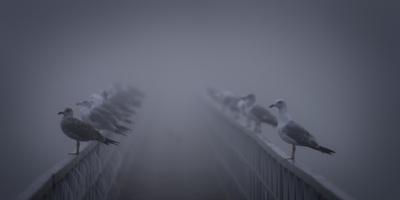 Waiting for the First Lights Photographic Print - David Zurita Martinez ...