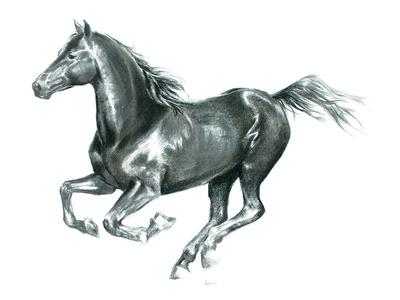 Gallop Black Giclee Print - Deborah Pearce | Art.com