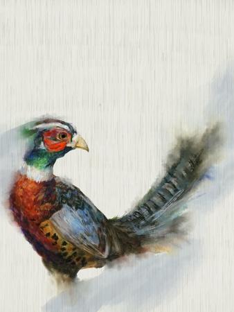 'Flying Free 2' Art Print - Dena Ann Adams | Art.com