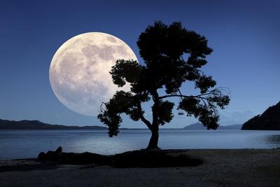 'Moon Rising Over the Sea' Photographic Print - Detlev Van Ravenswaay ...