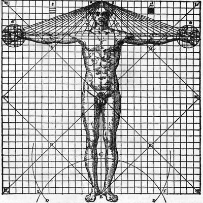 'Diagram of Man's Proportions; on Graph' Giclee Print | Art.com
