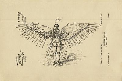 Diagram of Winged Flying Machine Giclee Print | Art.com