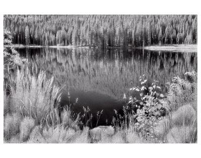 'Diemer Lake' Premium Giclee Print - Scott Peck | Art.com