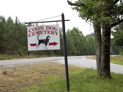 'Dog Cemetery' Photo | Art.com