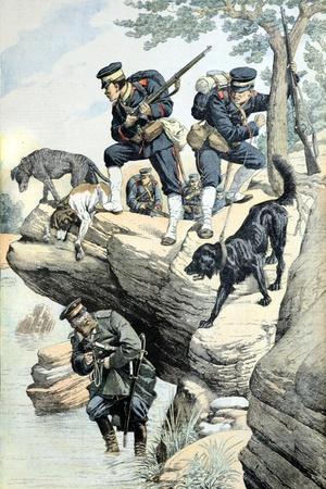 'Dogs Used in War by Japanese Russo-Japanese War (Sept 1904)' Giclee ...