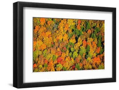 Aerial View of Fall Foliage in Vermont. Framed Photographic Print ...