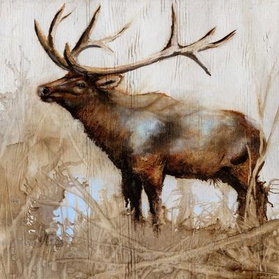 'Grazing Elk' Art Print - Donna Brooks | Art.com